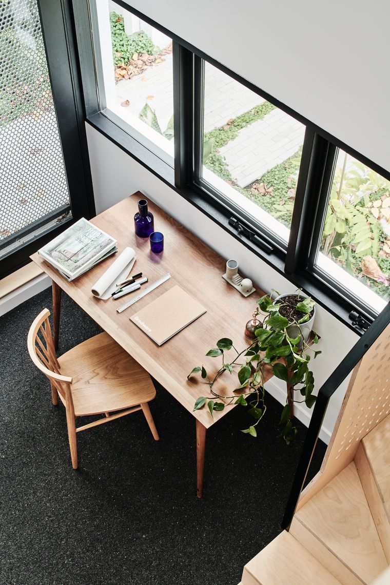 Echidna Studio: From Dark Garage to Bright, Versatile Living Space