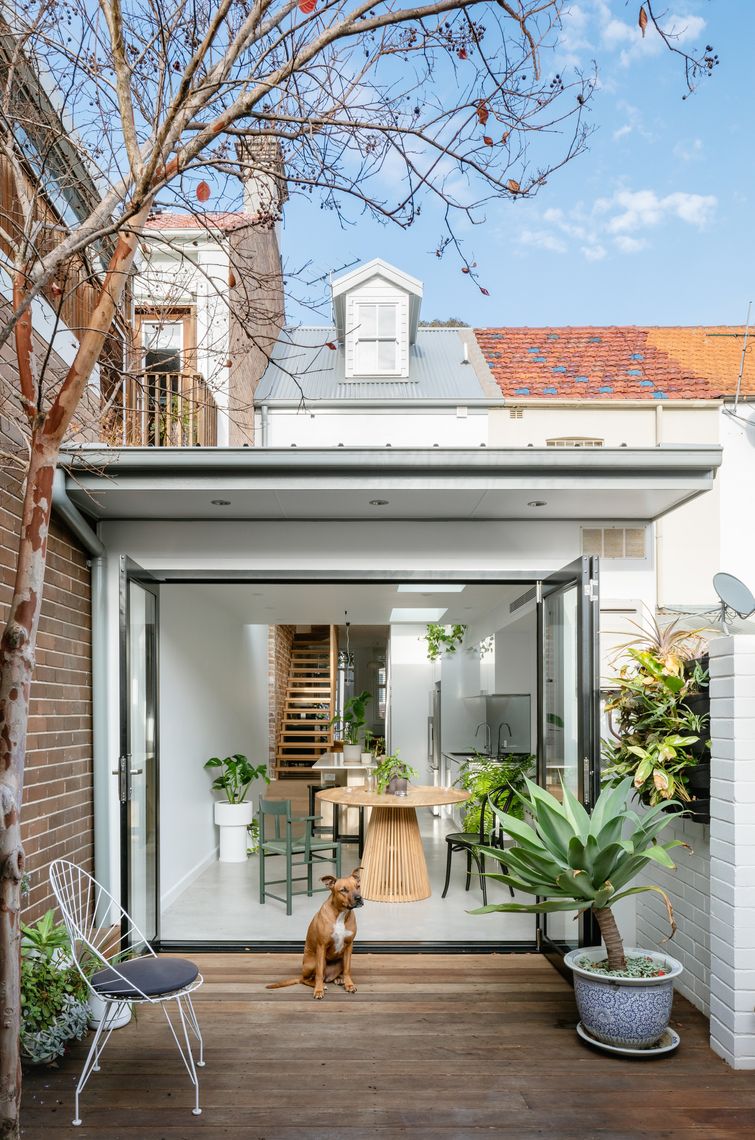 Light and Bright Addition Turns This Tiny Terrace Into Spacious Home