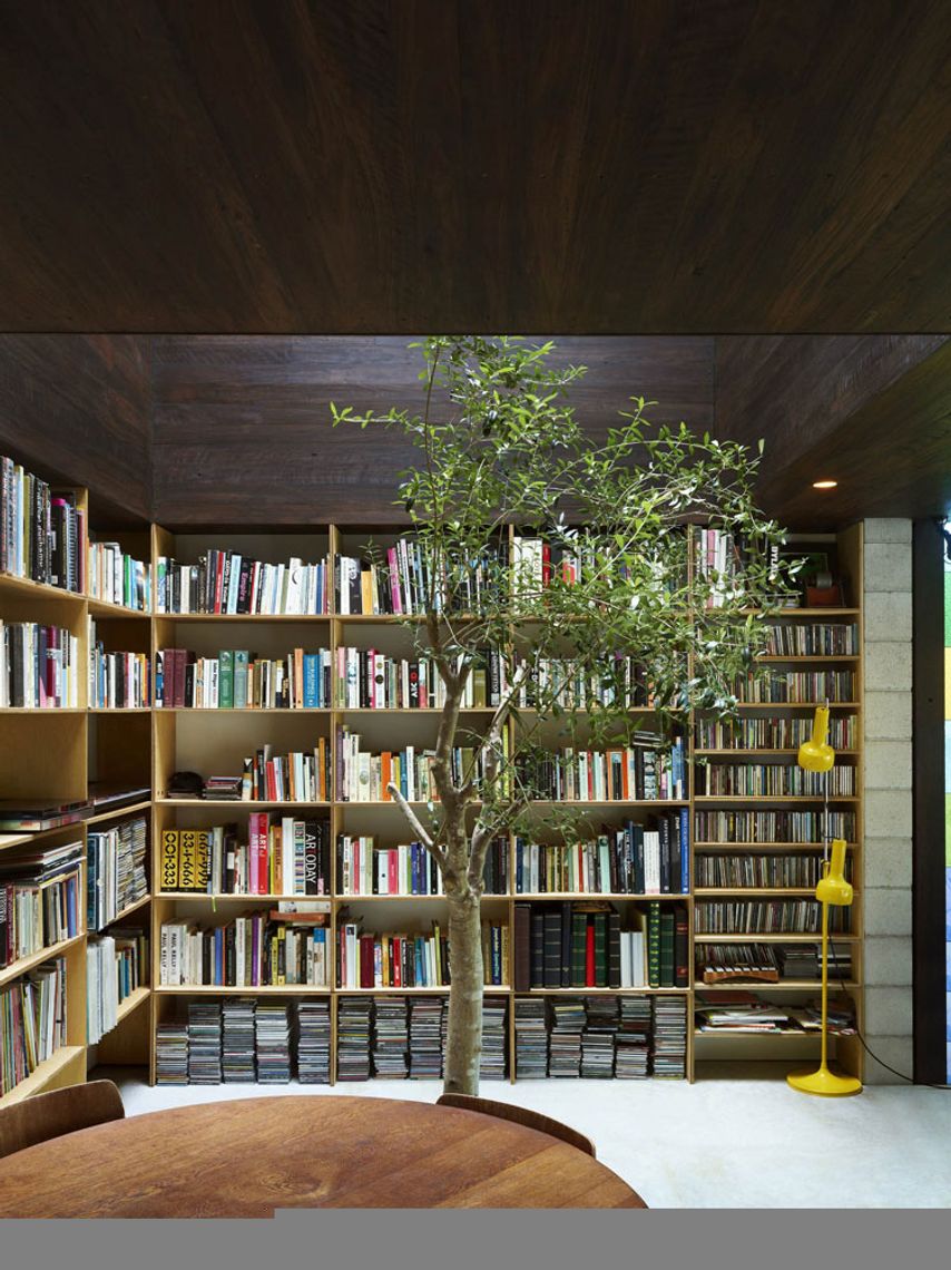 Raven Street House Has Curtains and Shutters Where You'd Expect Walls