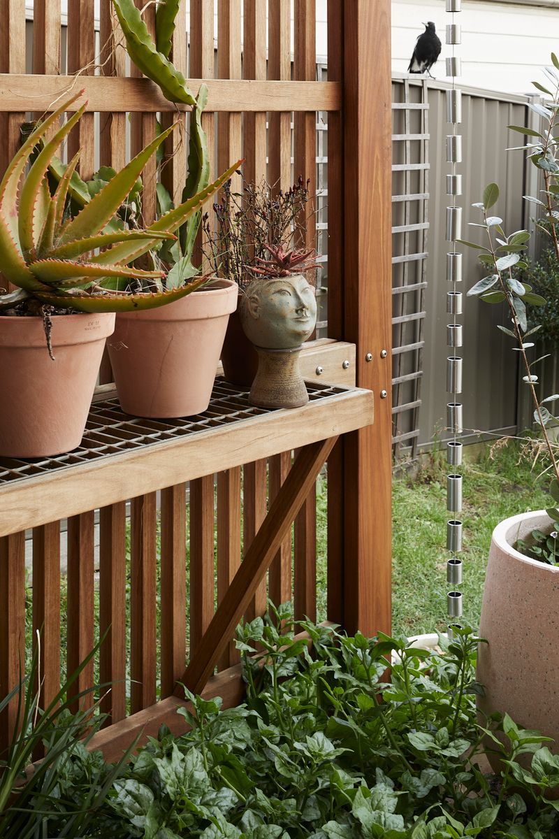 Discover how Avocado House blends 1960s charm with modern outdoor living