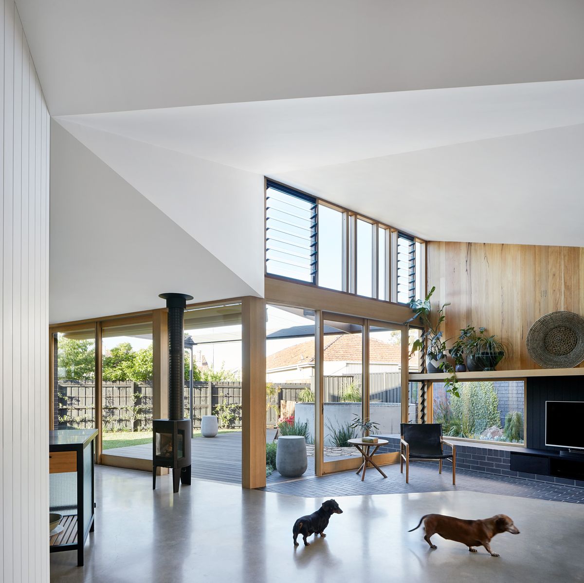 A Light-filled Annexe-like Addition Opens This Home Up to the Garden