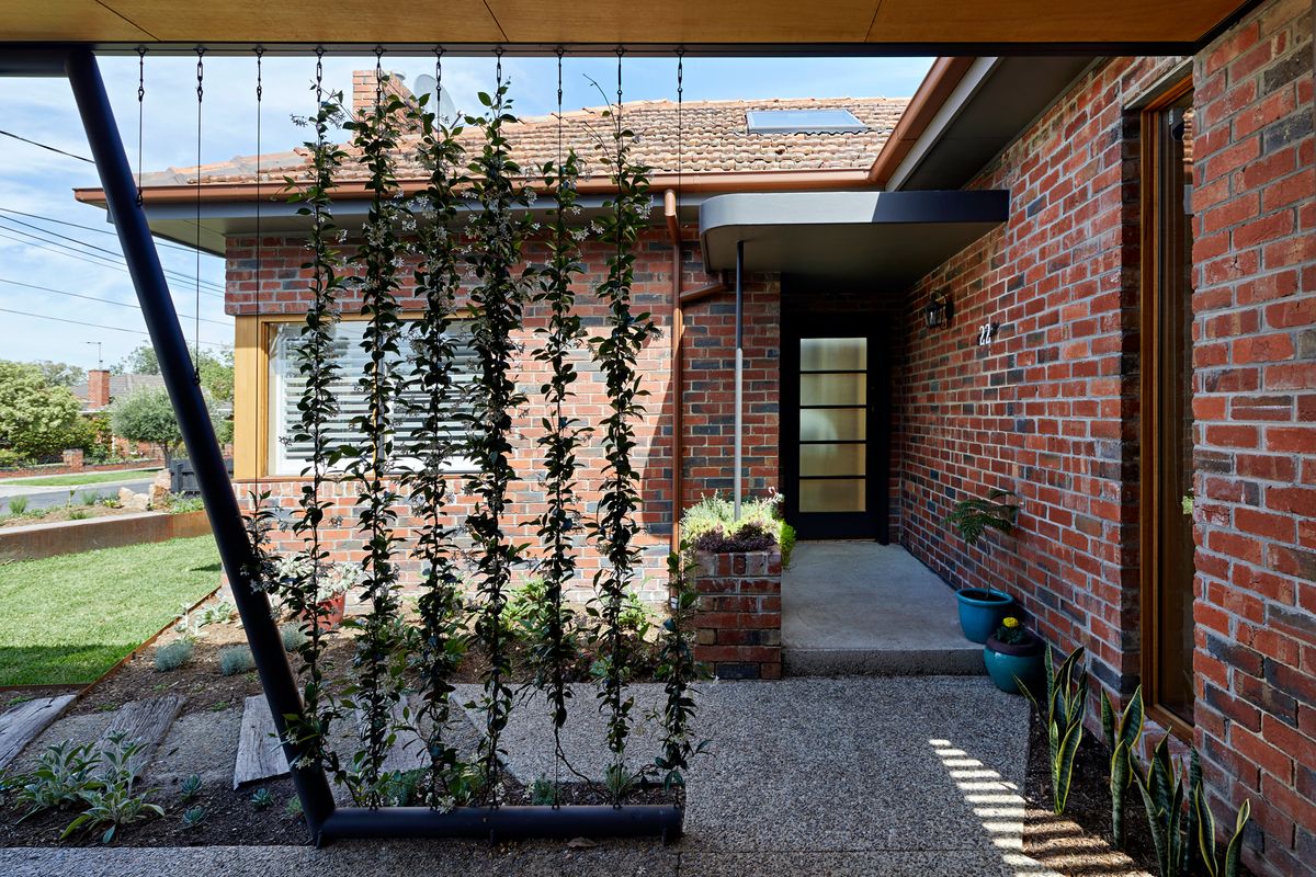 A Light-filled Annexe-like Addition Opens This Home Up to the Garden