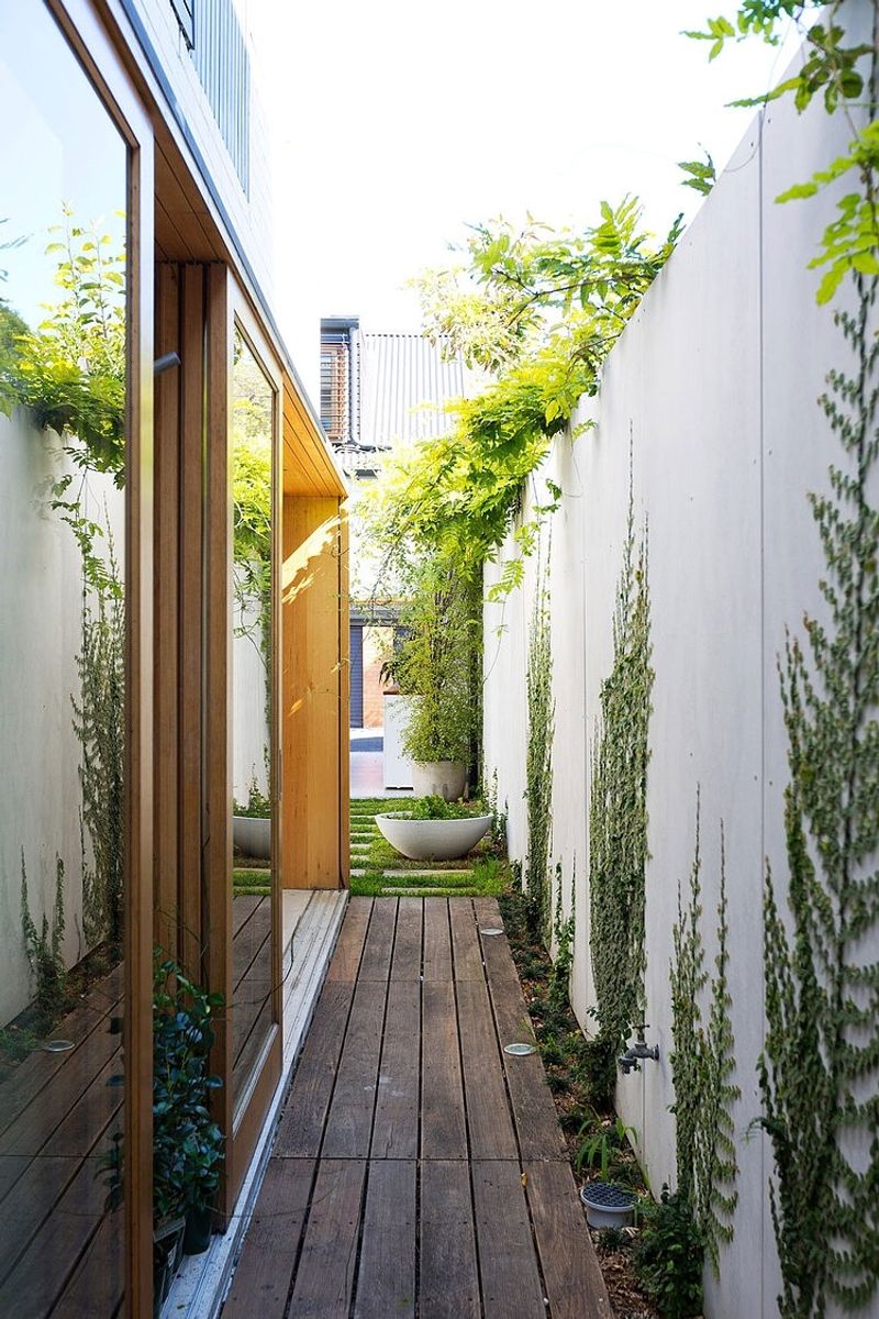 Bondi House Inner-City Home Gets a Timber Tube Extension