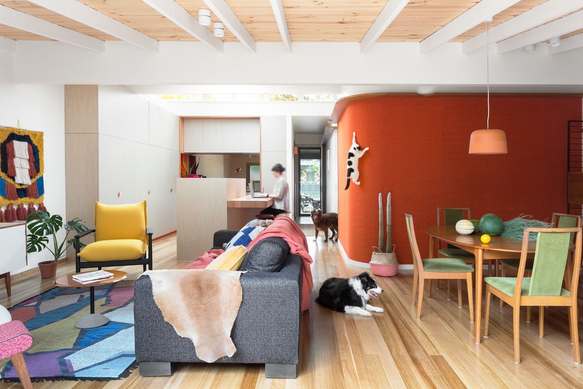 Crazy About Cats? We May Have Found Your Perfect Inner-City Abode...