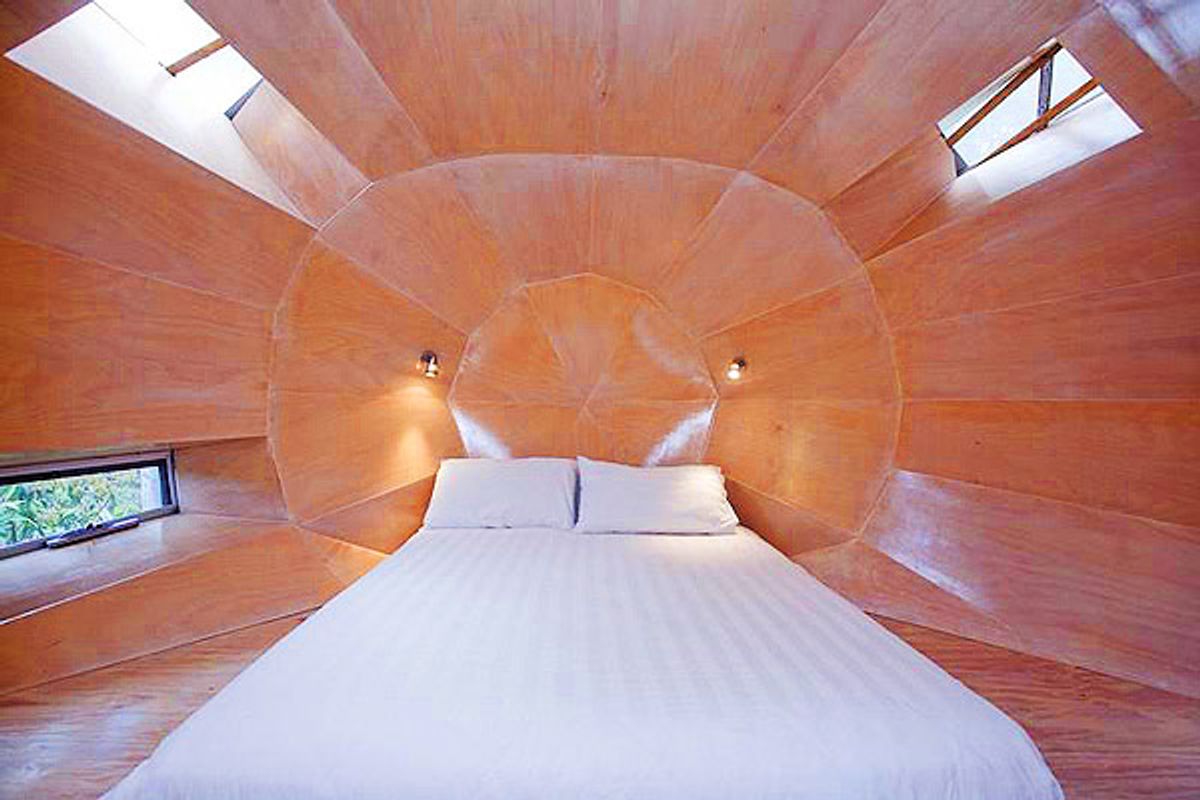 Cocoon: A Home? Or a Zeppelin That Crash-Landed in the Australian Bush?