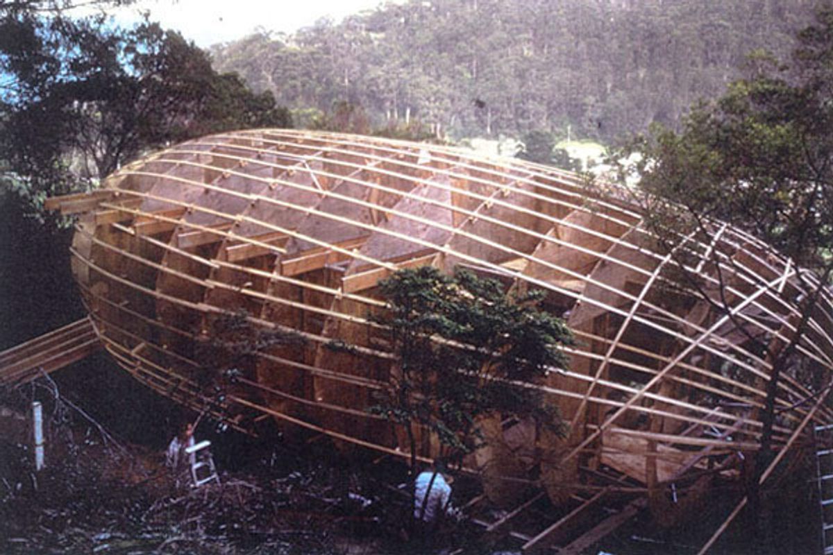 Cocoon: A Home? Or a Zeppelin That Crash-Landed in the Australian Bush?