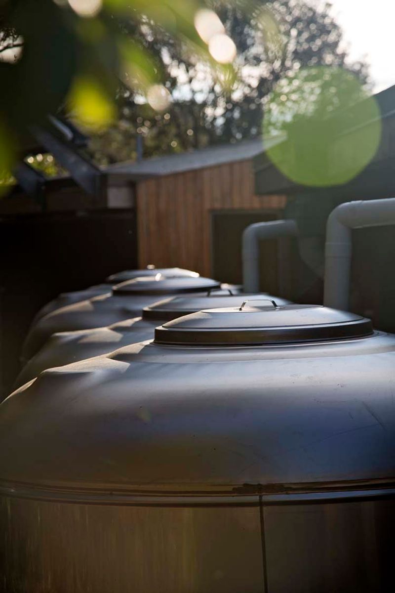 Prefabricated Cora House Carried Onto Site Leaving Environment Untouched