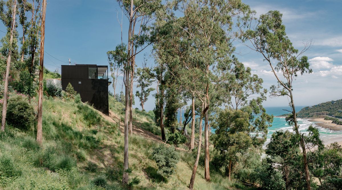 A New Breed of Bushfire Resistant Homes are Sprouting in Wye River