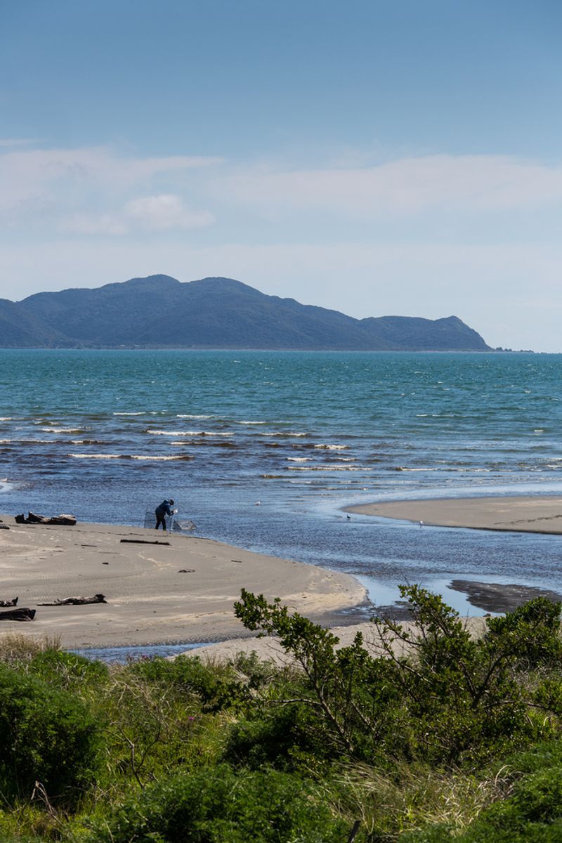 A Beachside Bach is Updated Without Losing its Sense of Place