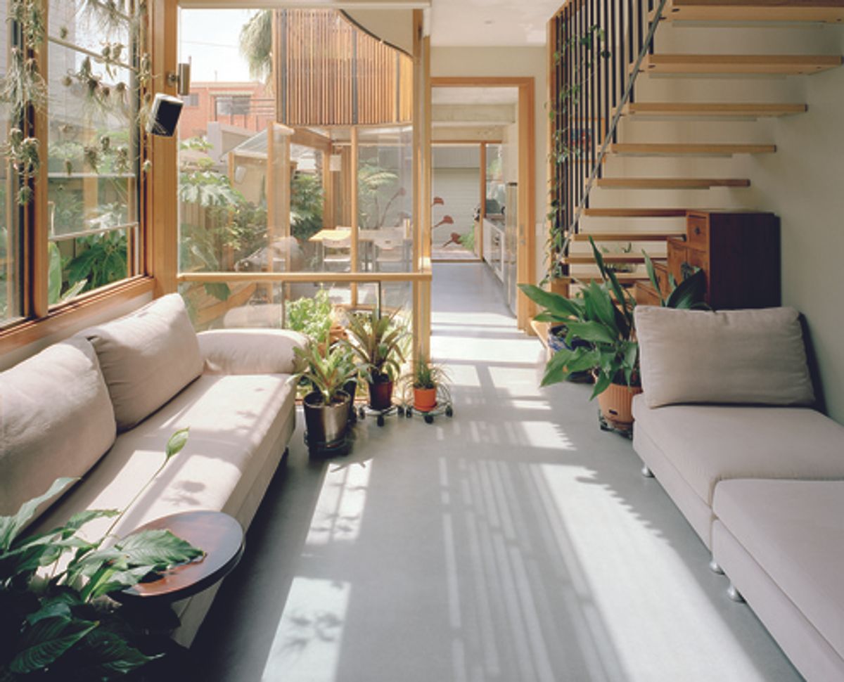 Urban Green House Creates a Sunny, Healthy, Happy, Inner-City Home