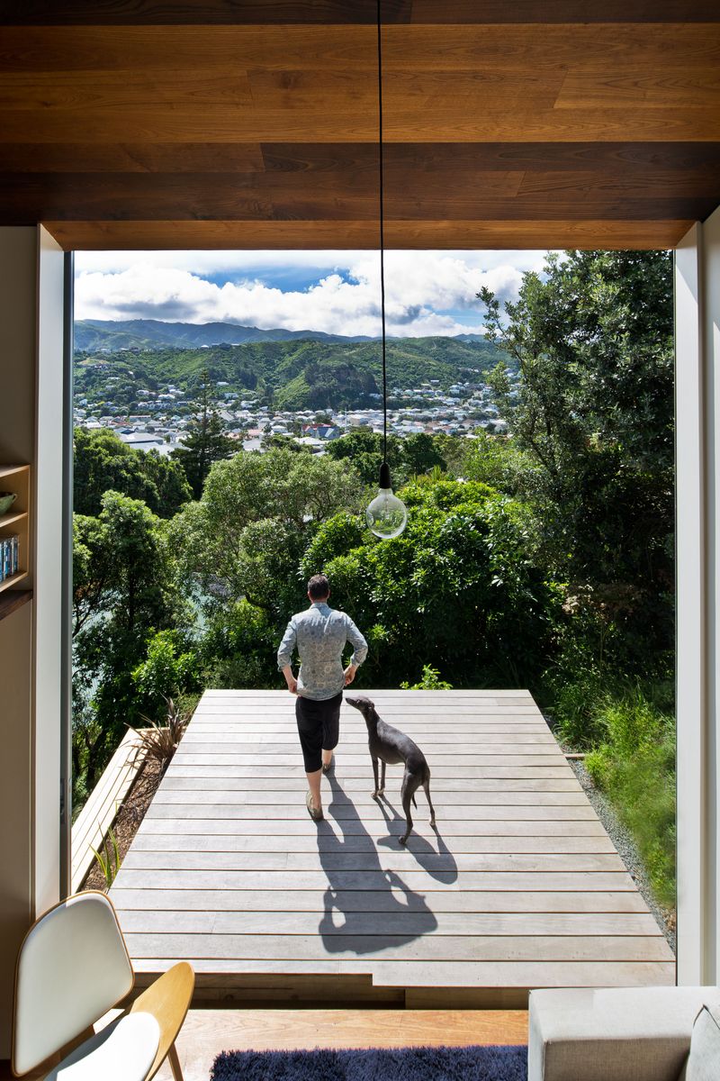 Compact Japanese-Inspired House Lives Large Thanks to a Wall of Glass