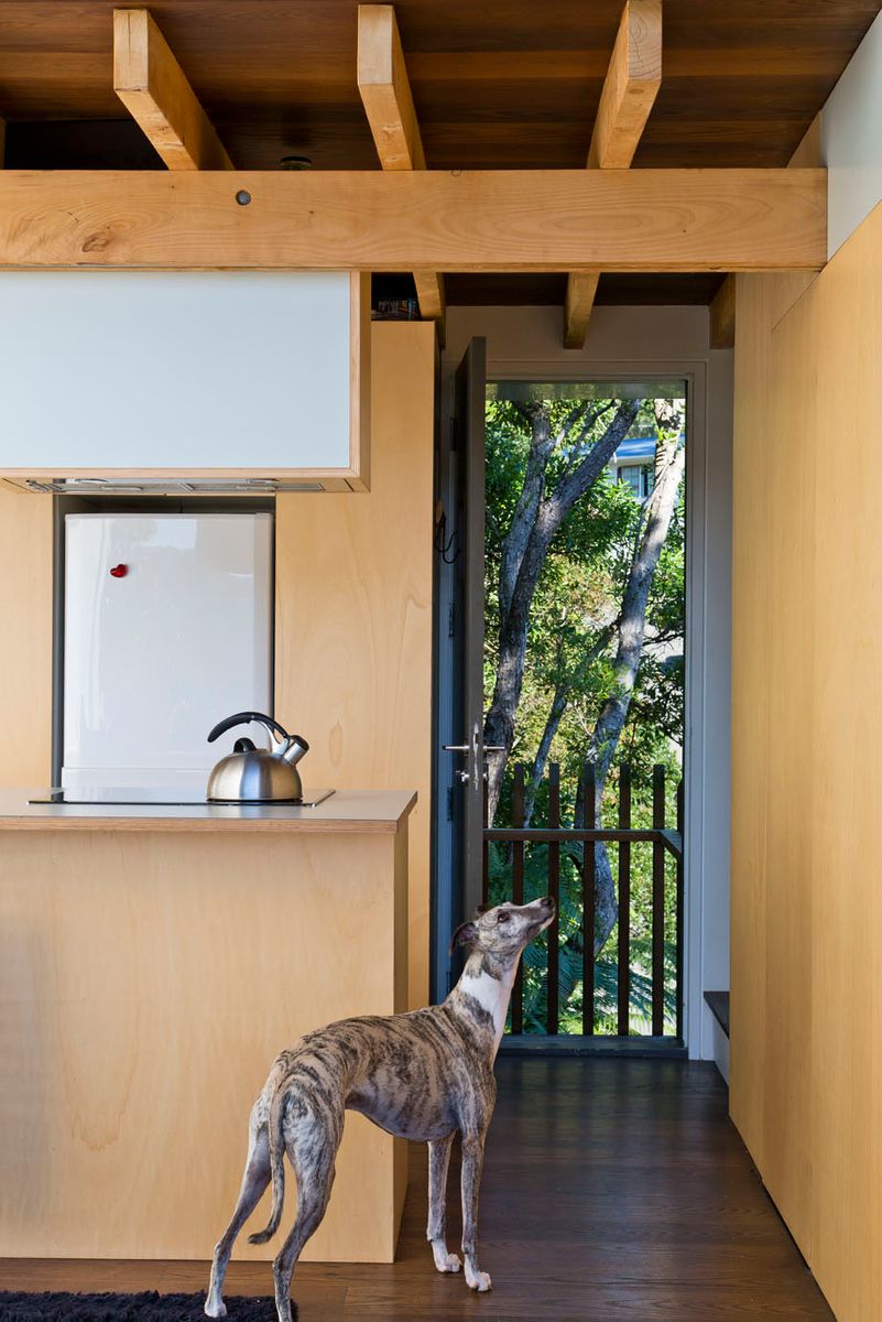 Compact Japanese-Inspired House Lives Large Thanks to a Wall of Glass