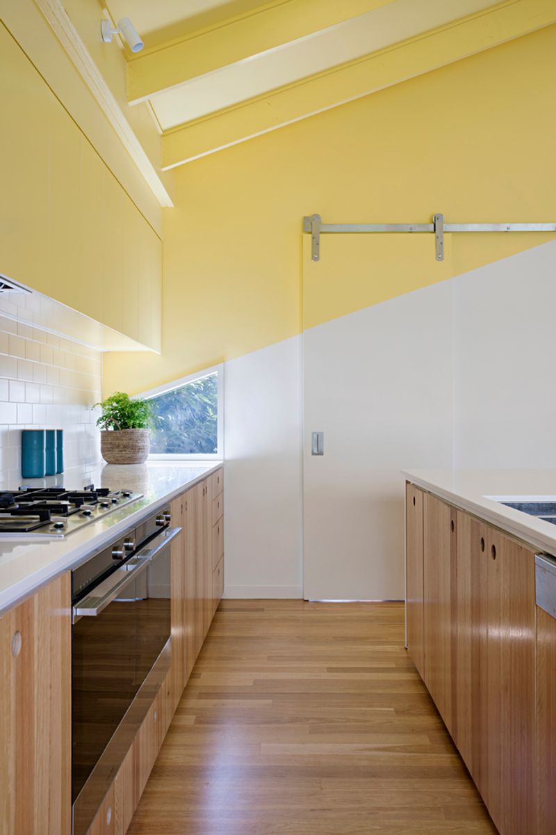 This Joyful House Brings in Light and Opens Onto the Garden