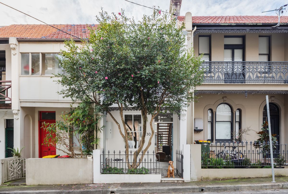 Light and Bright Addition Turns This Tiny Terrace Into Spacious Home