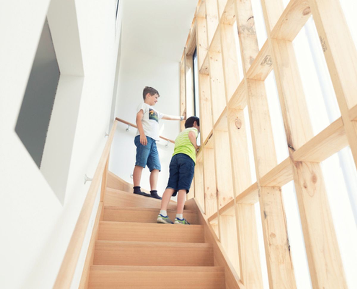 A Translucent Studio Creates a Soft Backdrop for an Inner City Yard