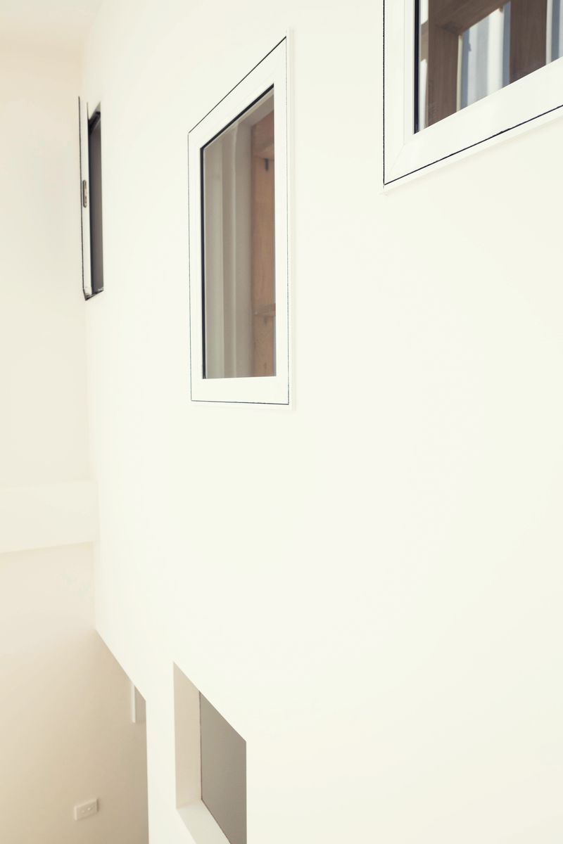 A Translucent Studio Creates a Soft Backdrop for an Inner City Yard