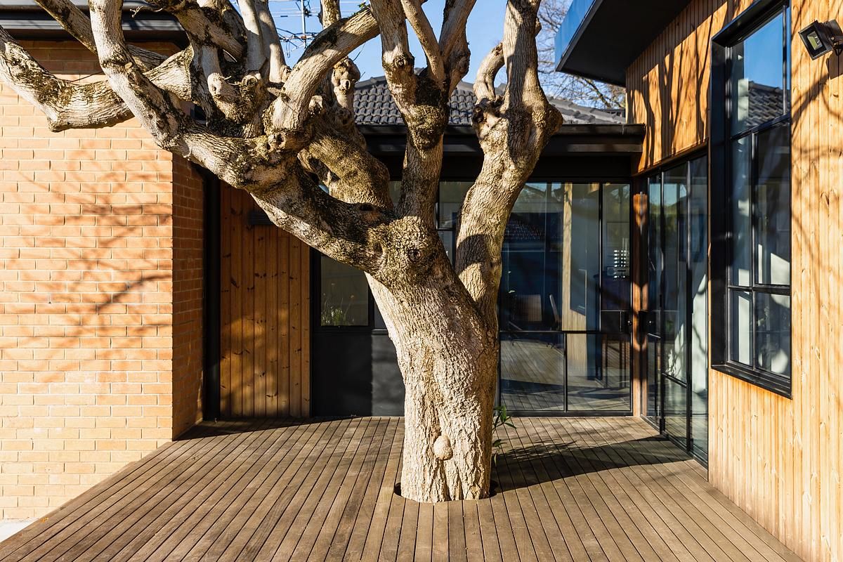 Transforming a 1950s home into a modern marvel in Melbourne