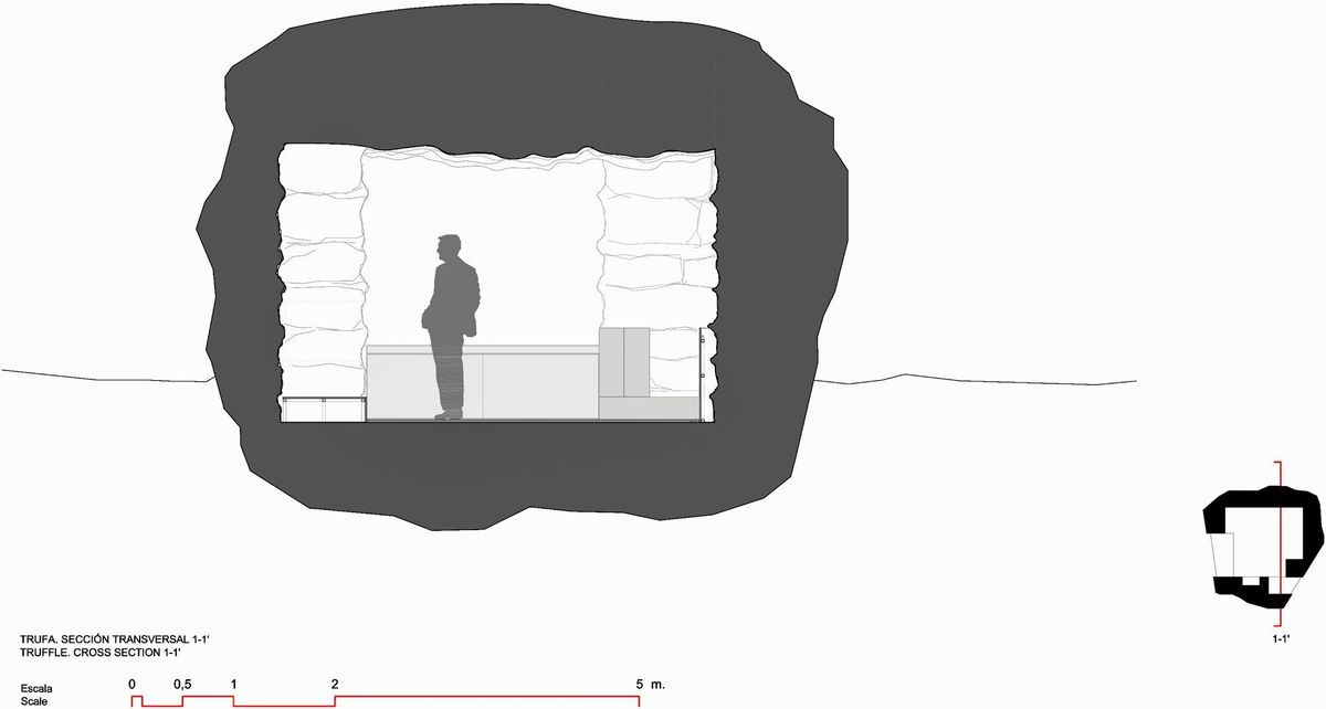 The Truffle: See How Paulina the Cow Created This Unusual House