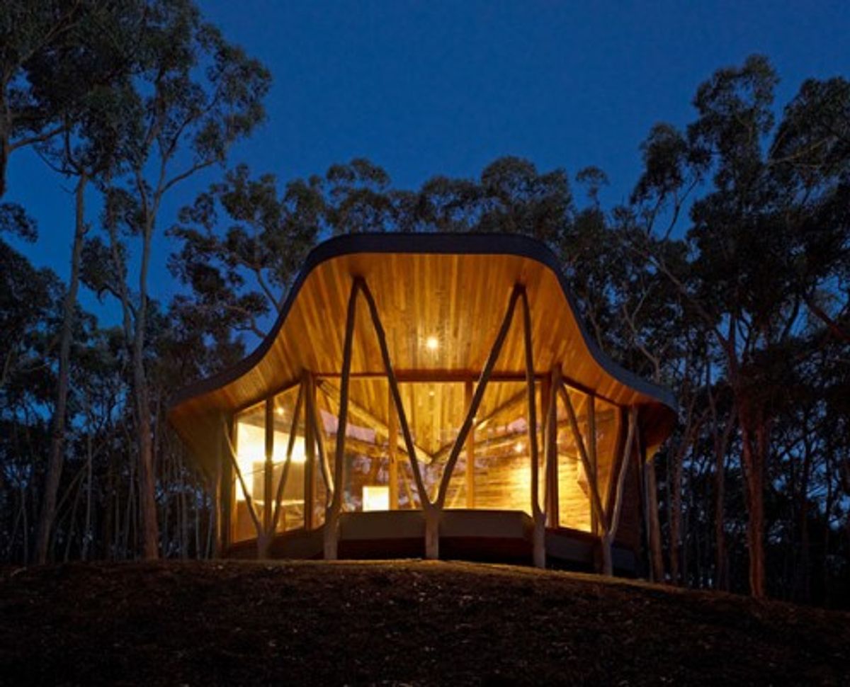 Trunk House: Modern Bush House Built With Trees From Site