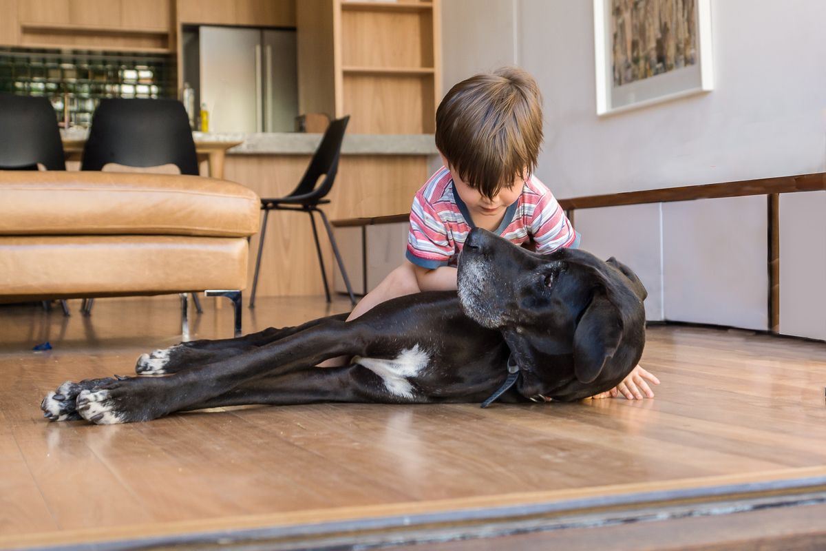 The Renovation of This Terrace Reuses Existing Materials in New Ways