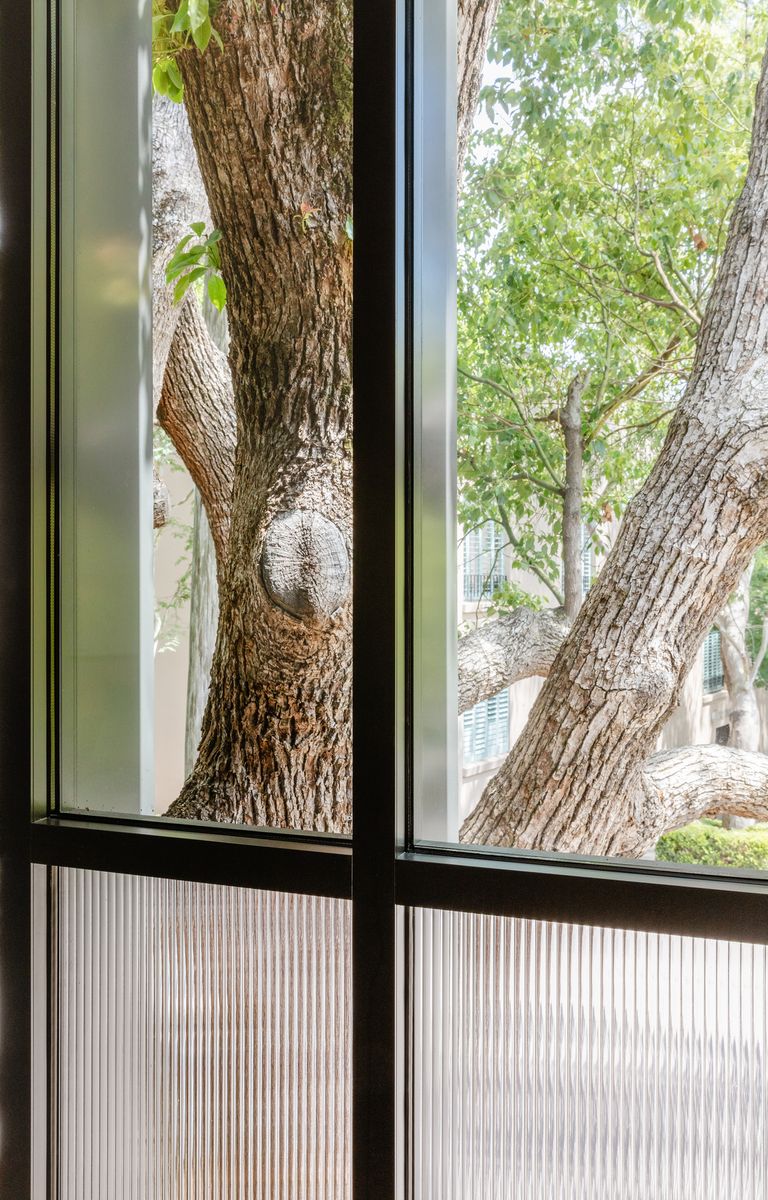 A Stunning Self-contained Studio Perched Among the Trees