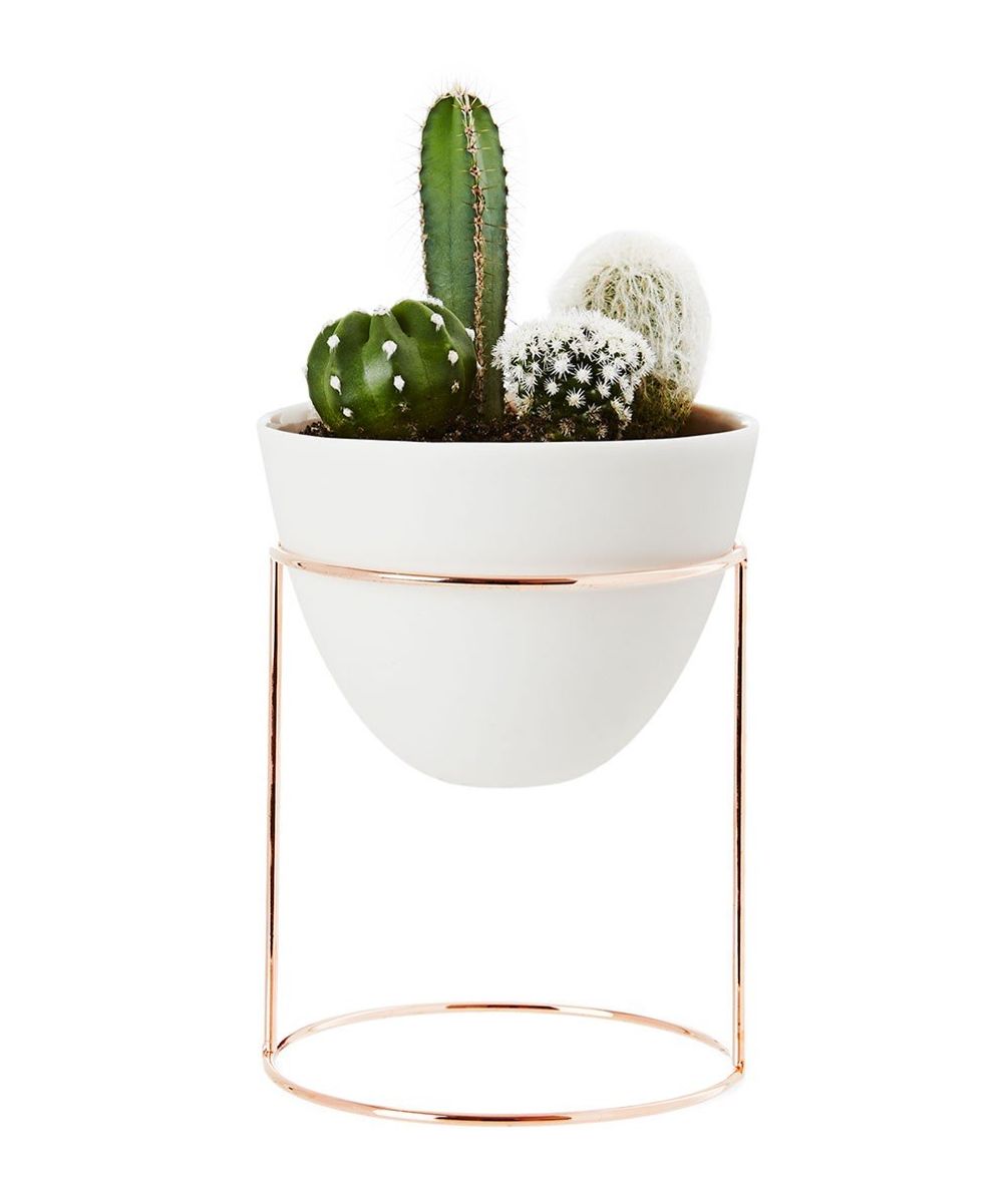 Nest Petite Stand And Vessel