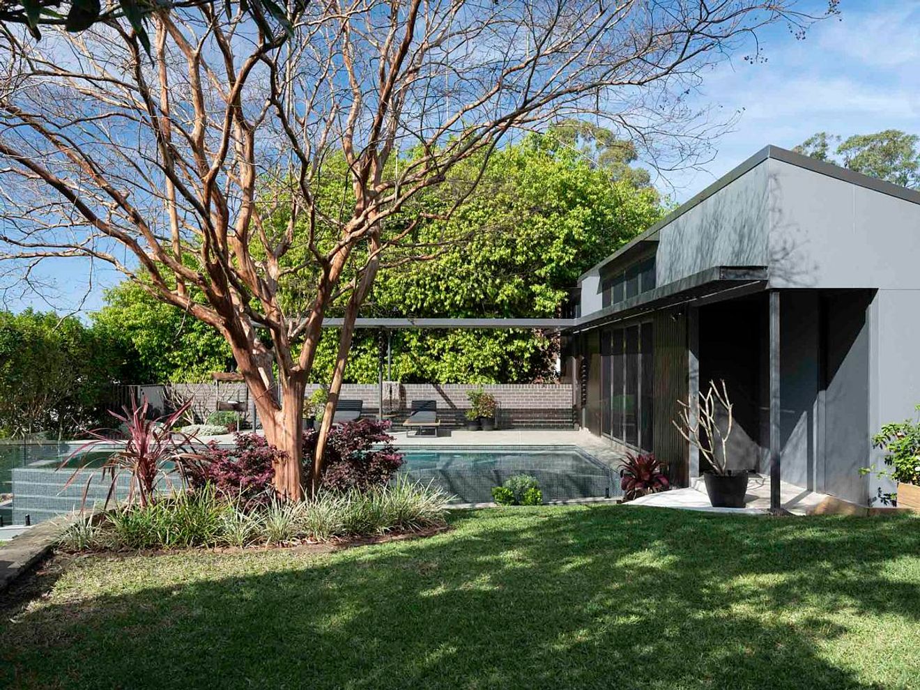 How This Bushland Pool Balances Design and Nature in Perfect Harmony