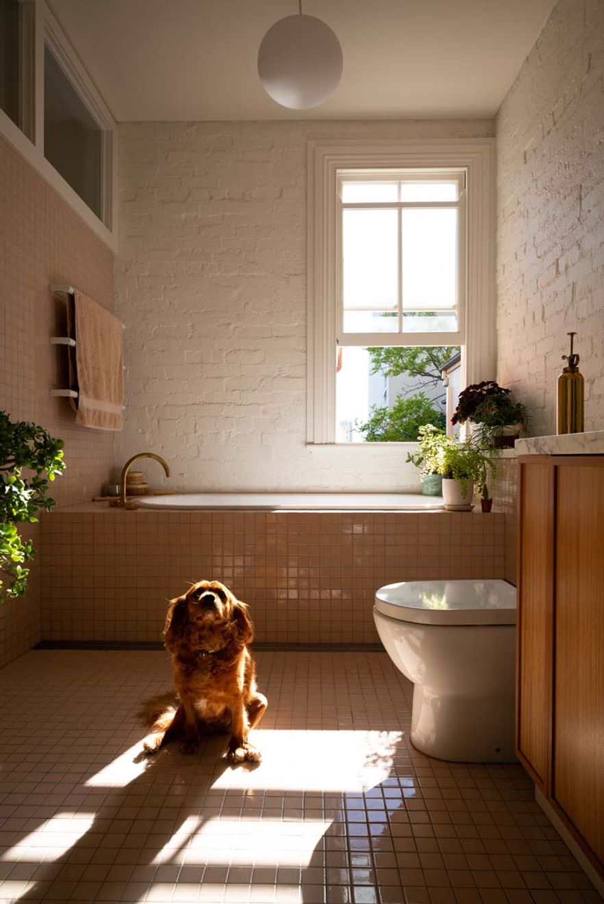 Traces of the Original Are Left to Tell the Story of Paddington Reno