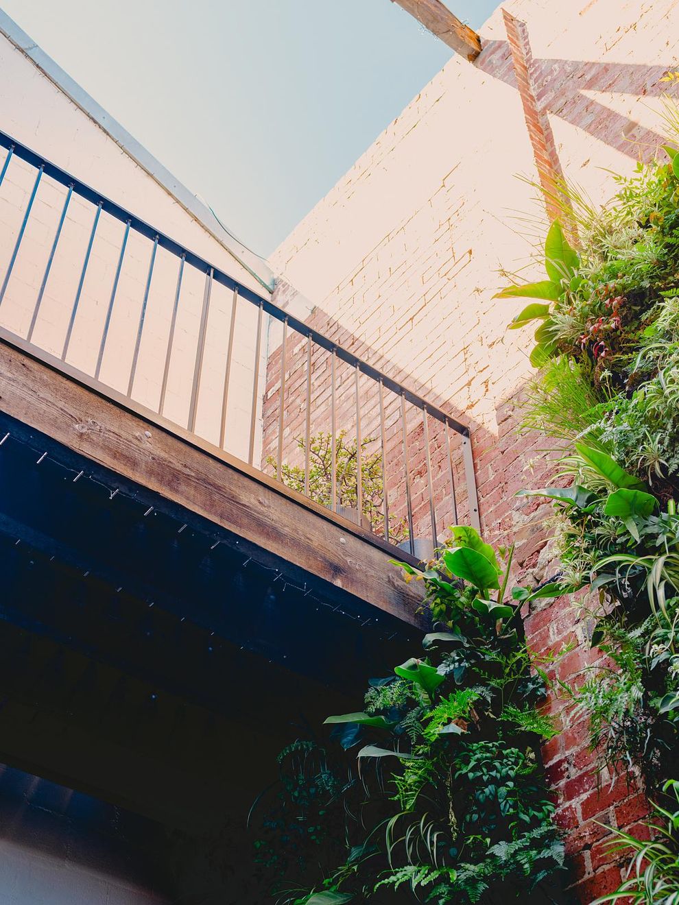 Renovation of a warehouse conversion creates and inner-city oasis