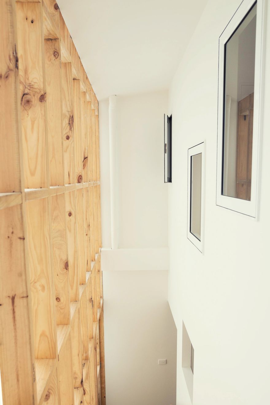 A Translucent Studio Creates a Soft Backdrop for an Inner City Yard