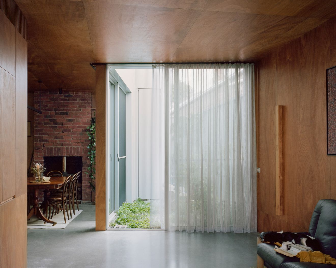 This terrace house renovation creates a lush outlook from every room