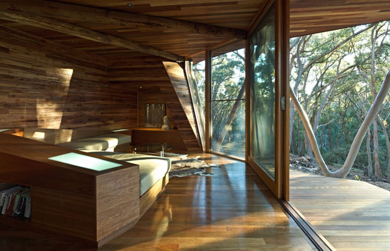 Trunk House: Modern Bush House Built With Trees From Site