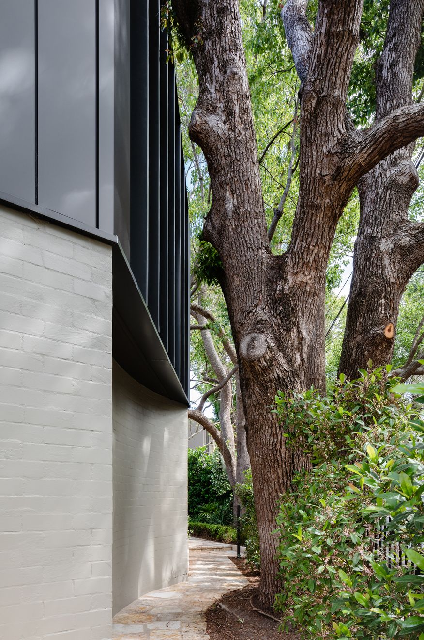 A Stunning Self-contained Studio Perched Among the Trees