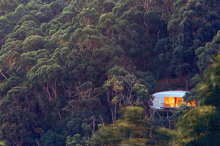 Cocoon: A Home? Or a Zeppelin That Crash-Landed in the Australian Bush?