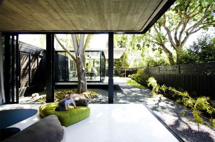 Elm and Willow House: A Home That Blurs Indoors and Outdoors