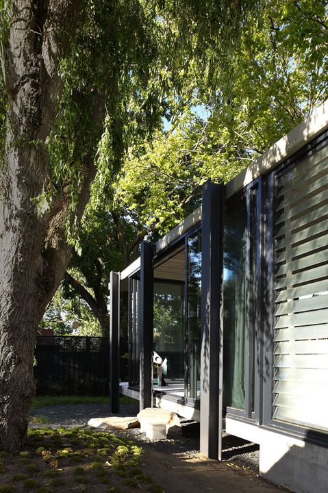 Elm and Willow House: A Home That Blurs Indoors and Outdoors