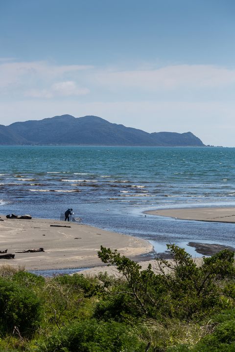 A Beachside Bach is Updated Without Losing its Sense of Place