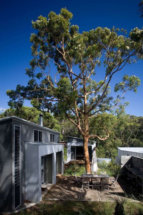 Seal Rocks House is About the Simple Pleasures of Surf, Sea and Trees