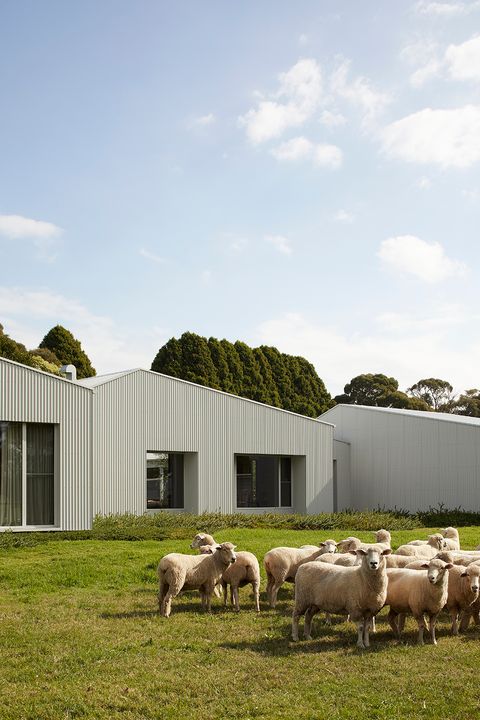 A modern farmhouse embracing its rural surroundings…