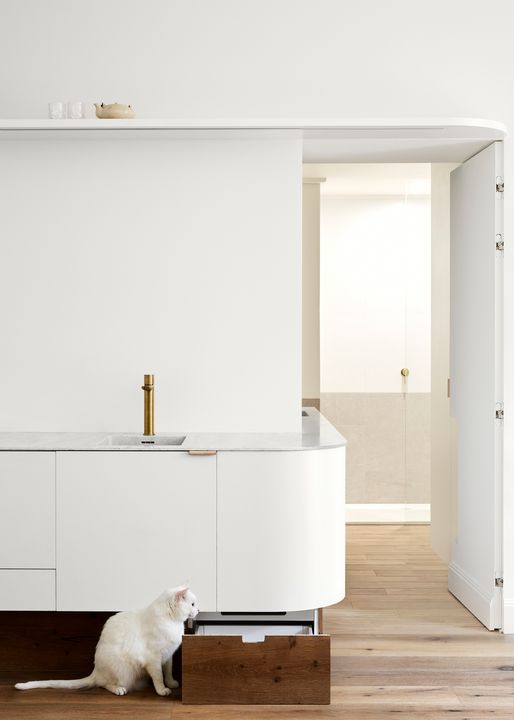Compact Apartment Feels Luxurious with Hollywood-esque Dressing Room