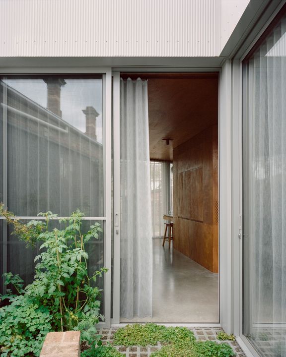 This terrace house renovation creates a lush outlook from every room