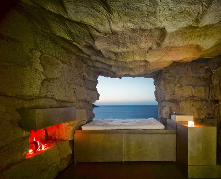 The Truffle: See How Paulina the Cow Created This Unusual House