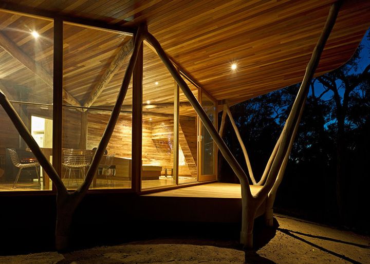 Trunk House: Modern Bush House Built With Trees From Site