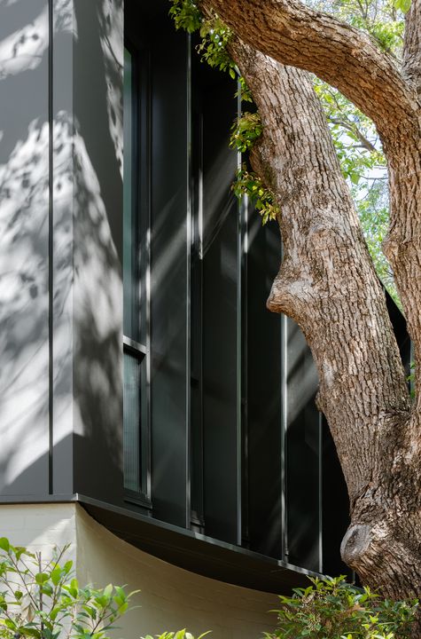 A Stunning Self-contained Studio Perched Among the Trees