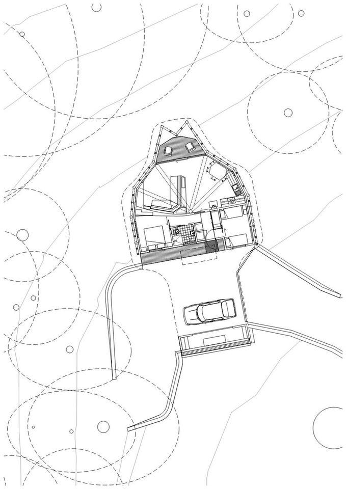 Trunk House: Modern Bush House Built With Trees From Site